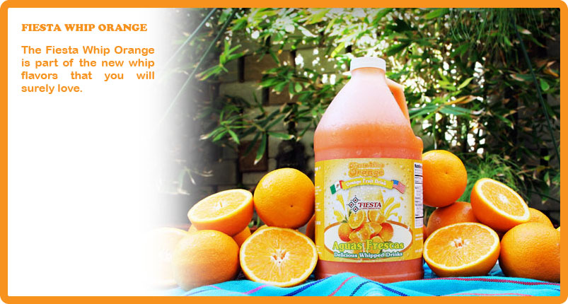 Fiesta Pacific Products